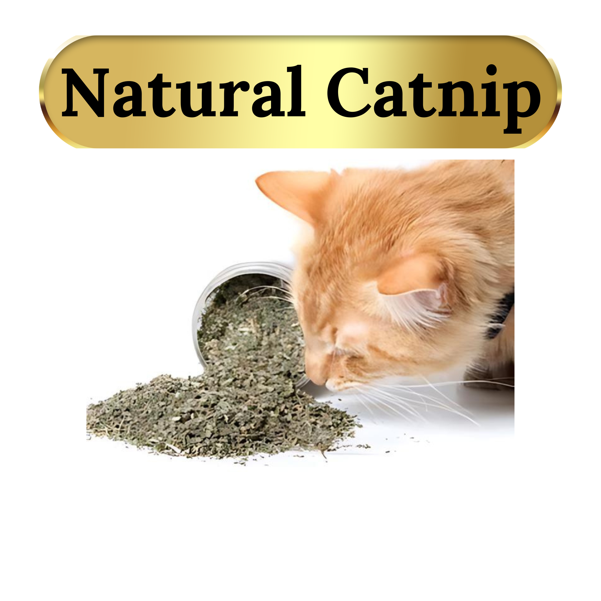 Home & Living :: Pets :: Pet Feeding :: Catnip for Cats Very Strong All ...