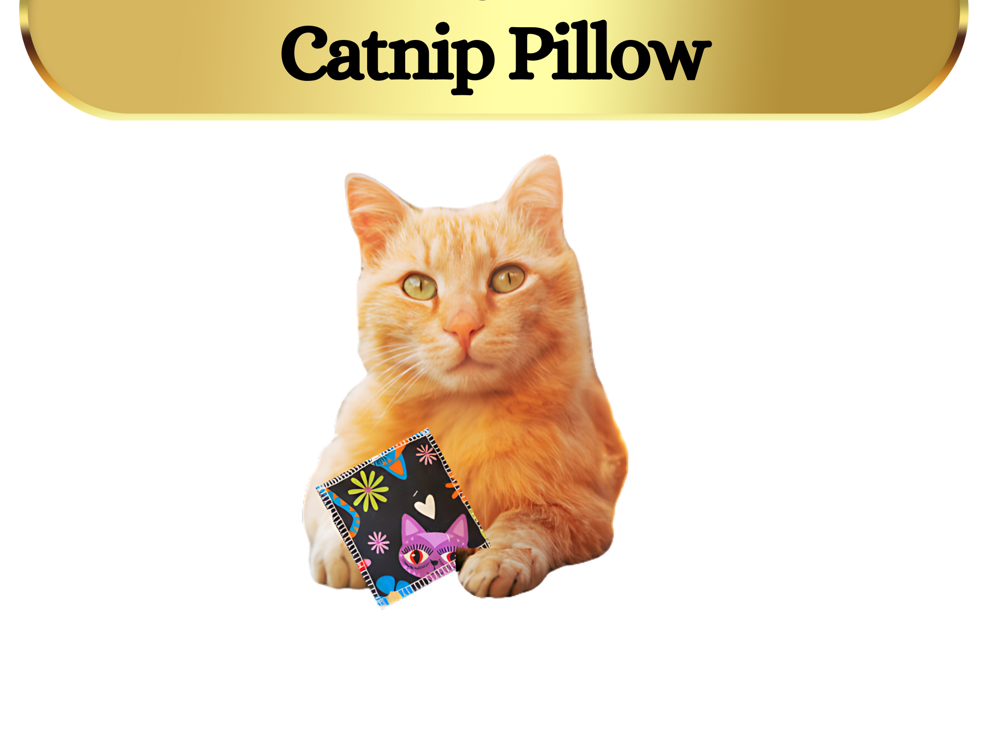 Home & Living :: Pets :: Pet Toys :: Catnip Cat Toy Box, Kickstick ...